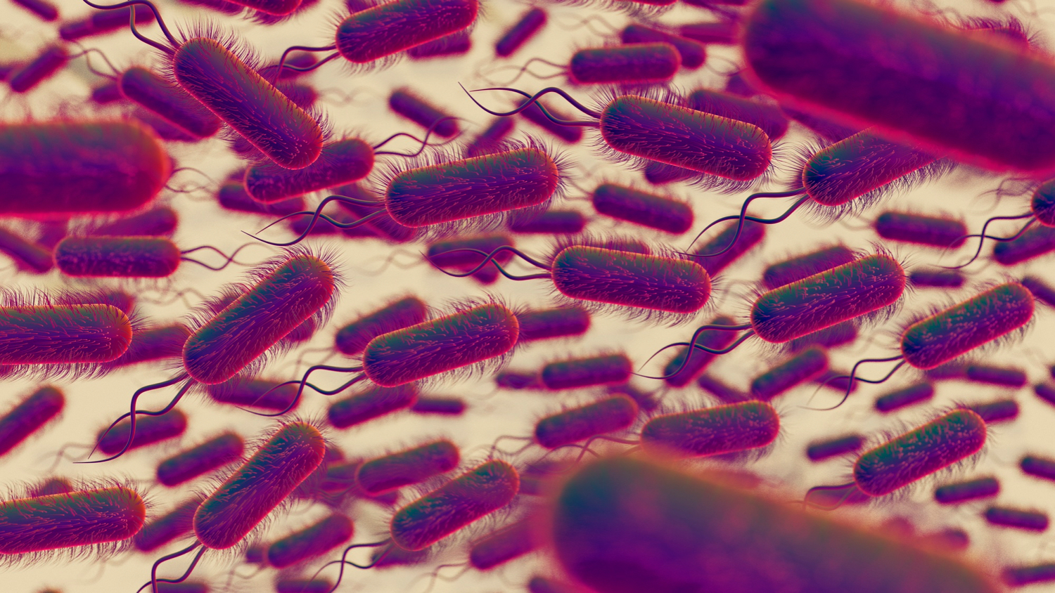 Demodex vizsgálat - a demodex atka élősködő is okozhatja a bőrpírt - 1